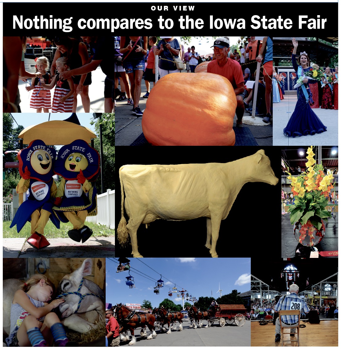 Nothing compares to the Iowa State Fair | News, Sports, Jobs - Times ...